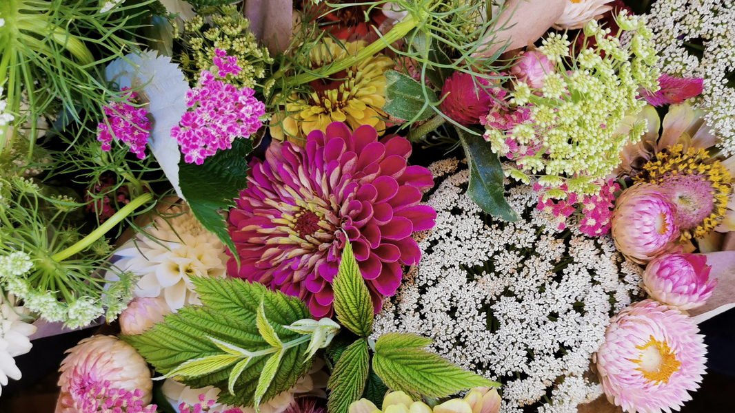Stems Flower Farm