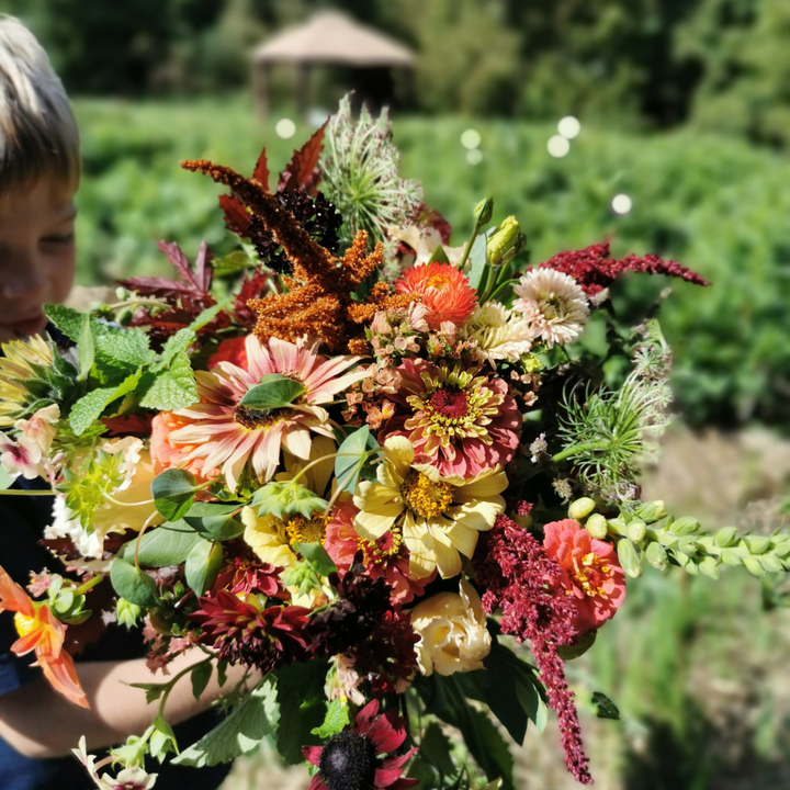 Stems Flower Farm