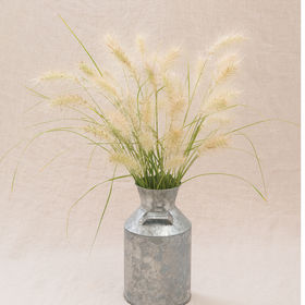 Decorative Grass - Feathertop – Stems Flower Farm