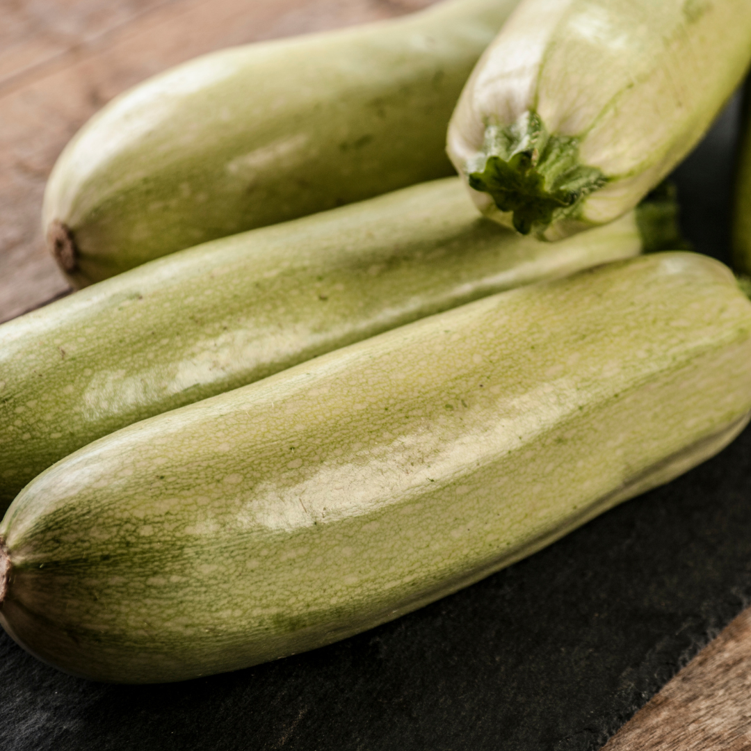 Squash (Summer) - Grey Zucchini